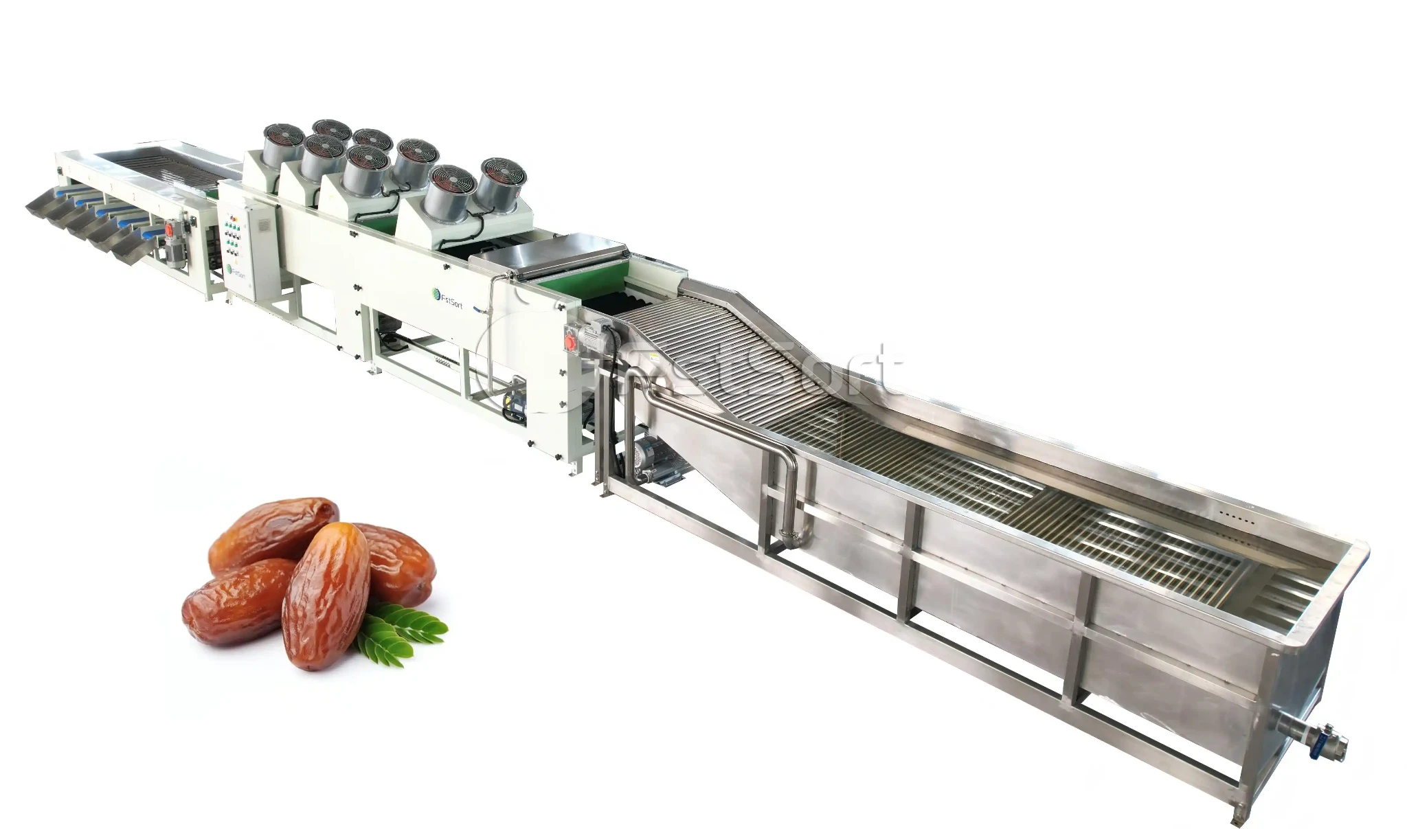 Dates washing drying sorting line to India | FstSort
