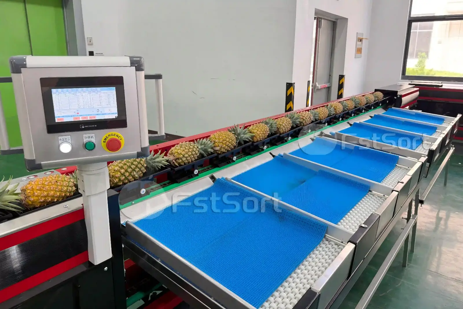 India pineapple manual grading machine | FstSort