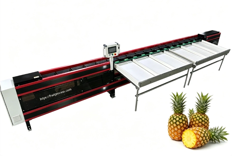 FstSort pineapple weight sorting machine: an efficient... | FstSort