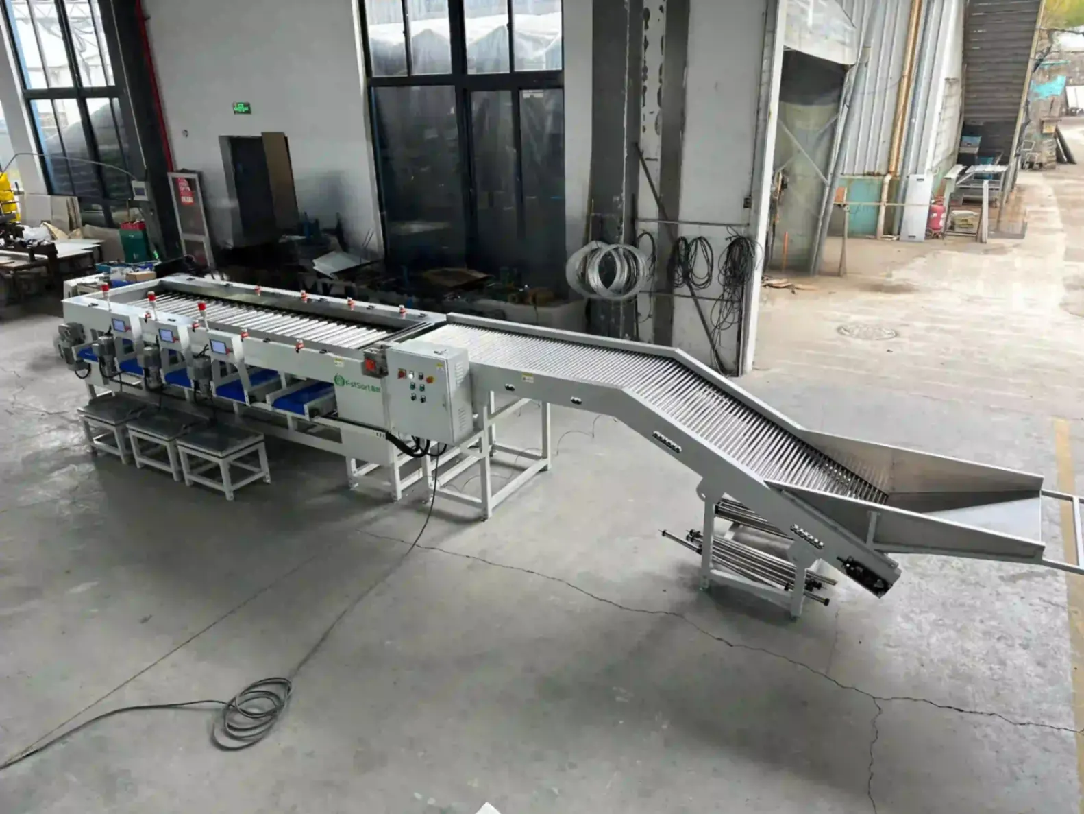 Plum sorting machine for Macedonia | FstSort