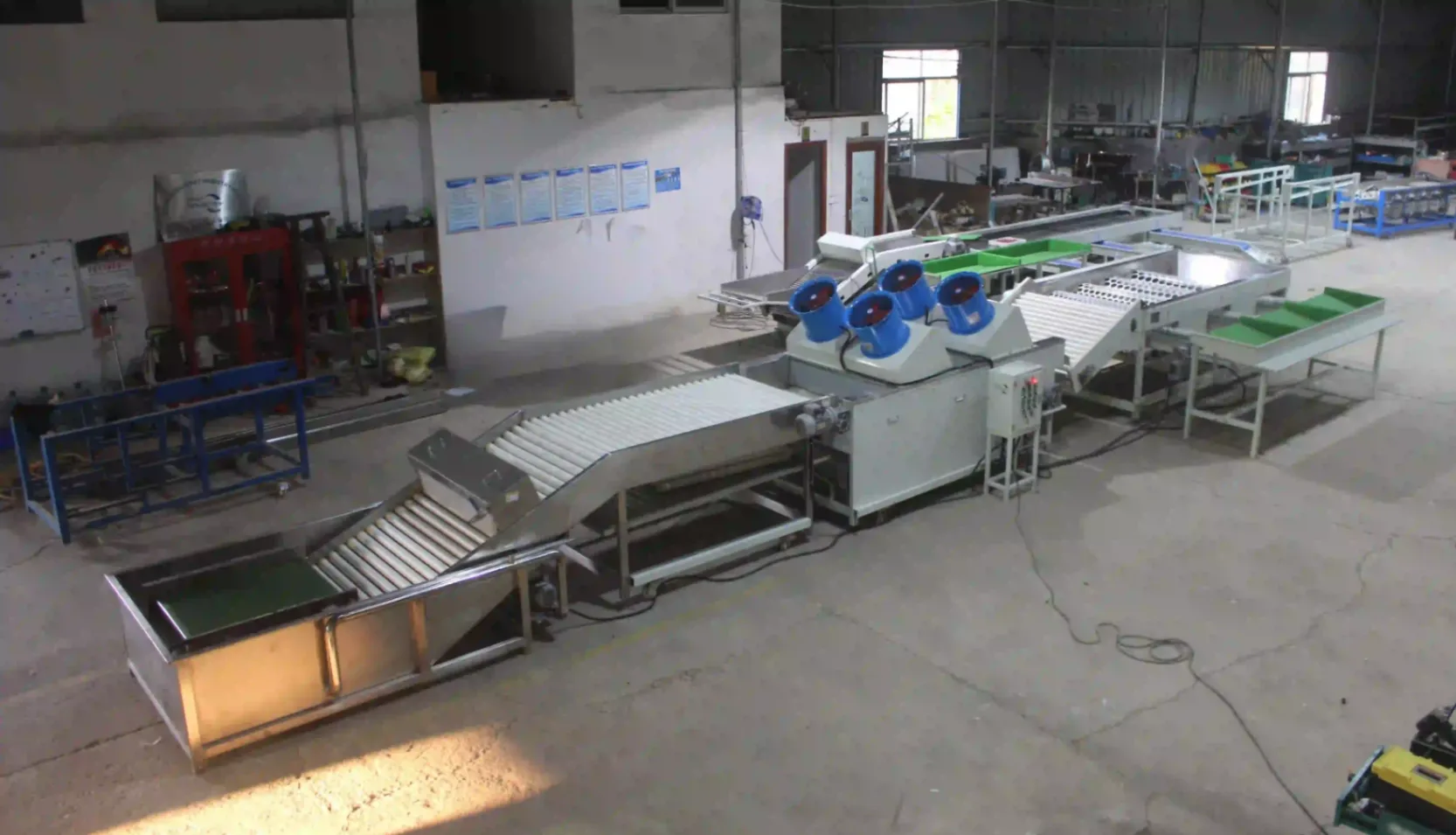 Saudi Arabia tomato washing and sorting machine | FstSort